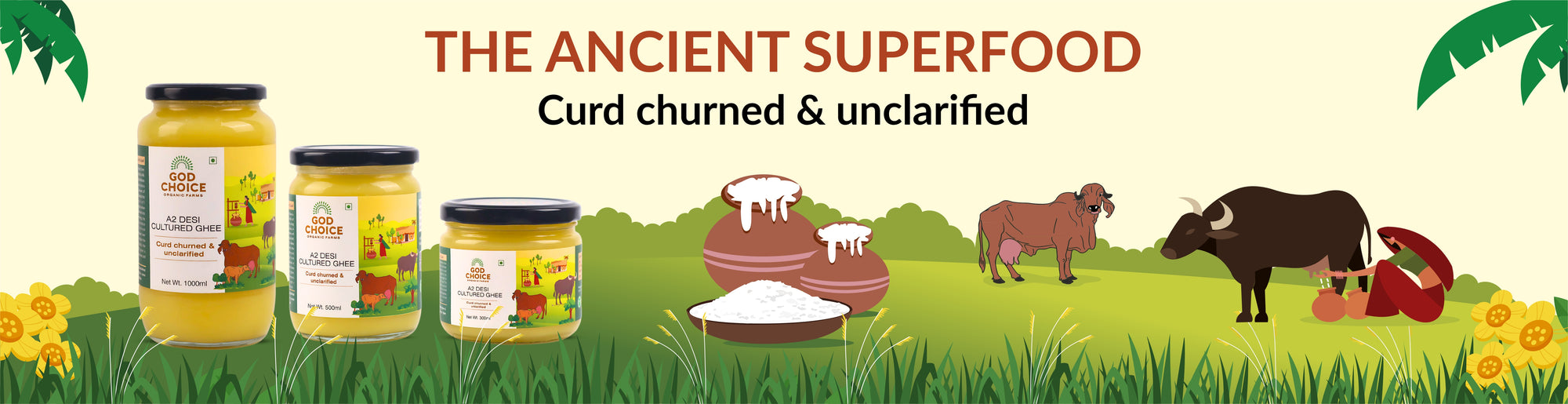 A2 Desi Cow Ghee Online Price | Buy Cultured Pure & Organic A2 Desi Cow ...